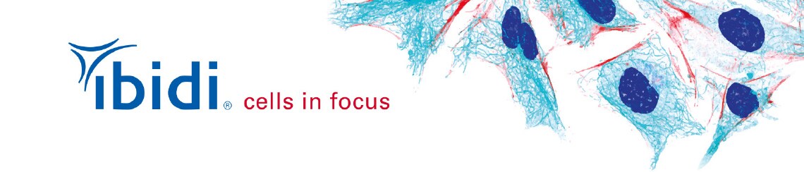 Manager Vertriebspartner APAC & Middle East (m/w/d) - Job bei der Firma ...